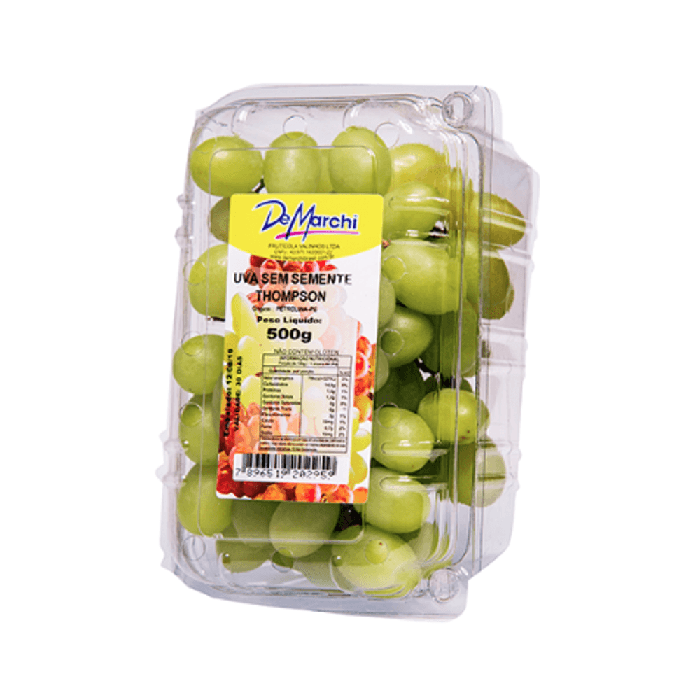 Uva Thompson Frutart 500g - mercantilnovaera